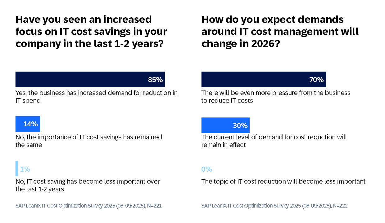 SAP LeanIX IT cost optimization survey report 2025