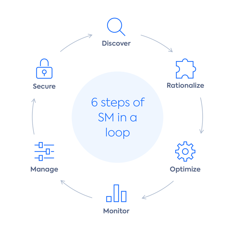 Guide: SaaS-Management | LeanIX