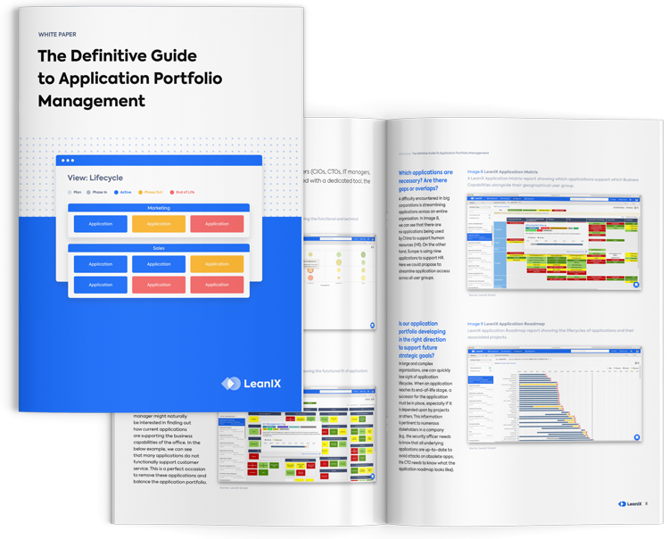 The Definitive Guide to Application Portfolio Management