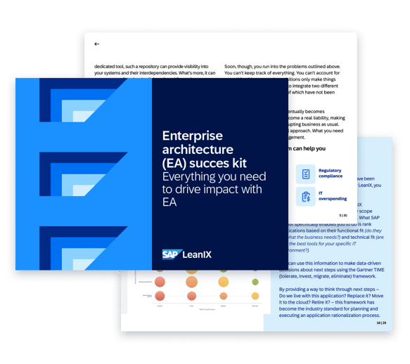 Application Portfolio Assessment Solution | SAP LeanIX