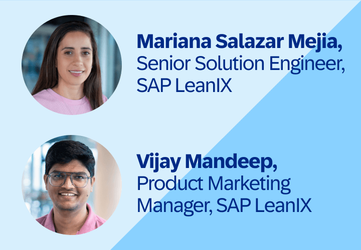 Application Portfolio Assessment: Evaluate IT Landscape | LeanIX