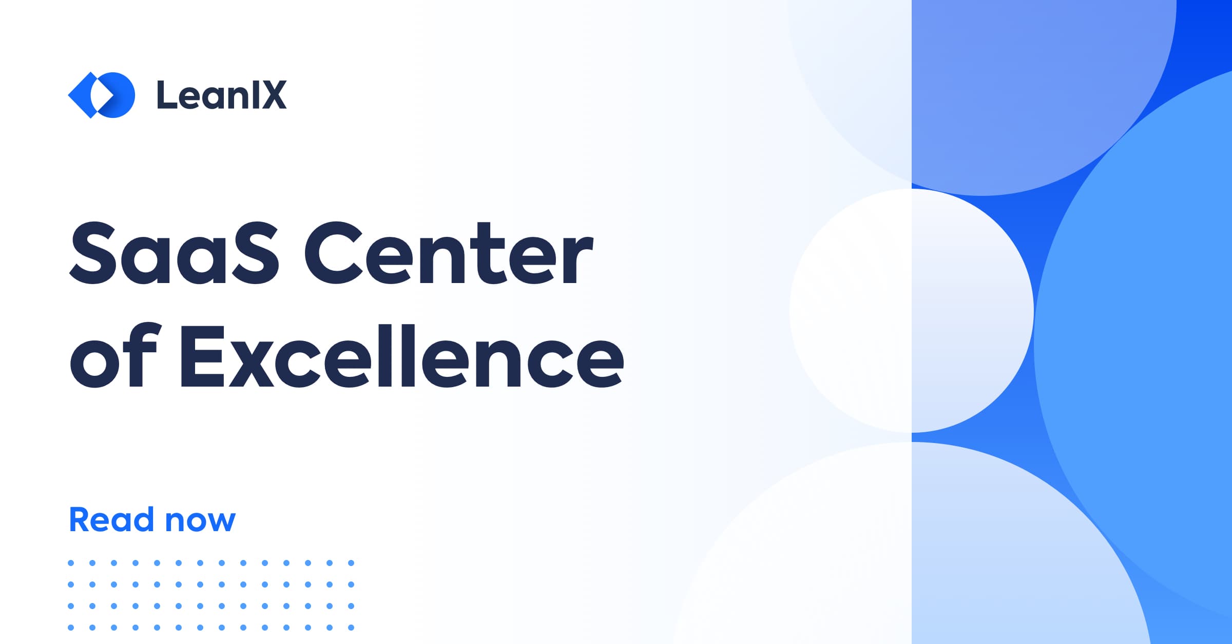 SaaS Center of Excellence - SCoE | LeanIX